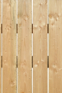 Mur de planches N°05 Pin