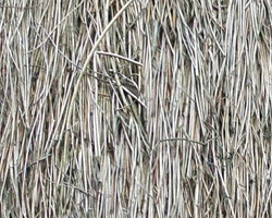 texture Chaume