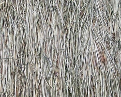 texture Chaume